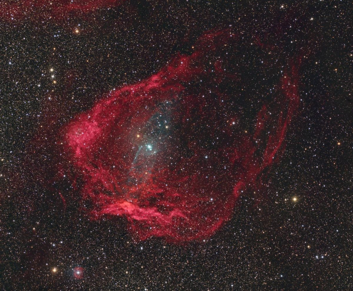 Flying Bat and Squid Nebulae - Astrodoc: Astrophotography by Ron Brecher