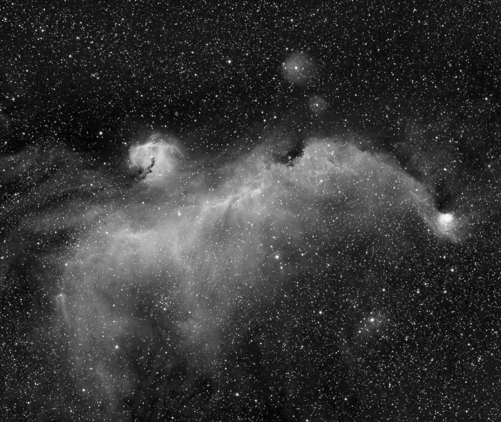 Seagull Nebula - Astrodoc: Astrophotography by Ron Brecher