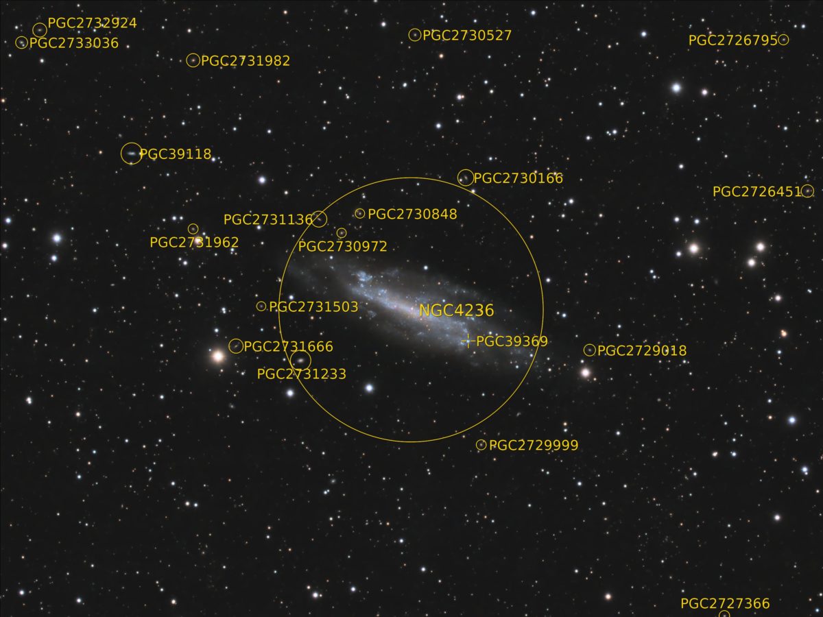 NGC 4236 - Barred Spiral Galaxy - Astrodoc: Astrophotography by Ron Brecher