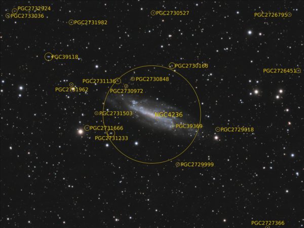 NGC 4236 - Barred Spiral Galaxy - Astrodoc: Astrophotography by Ron Brecher
