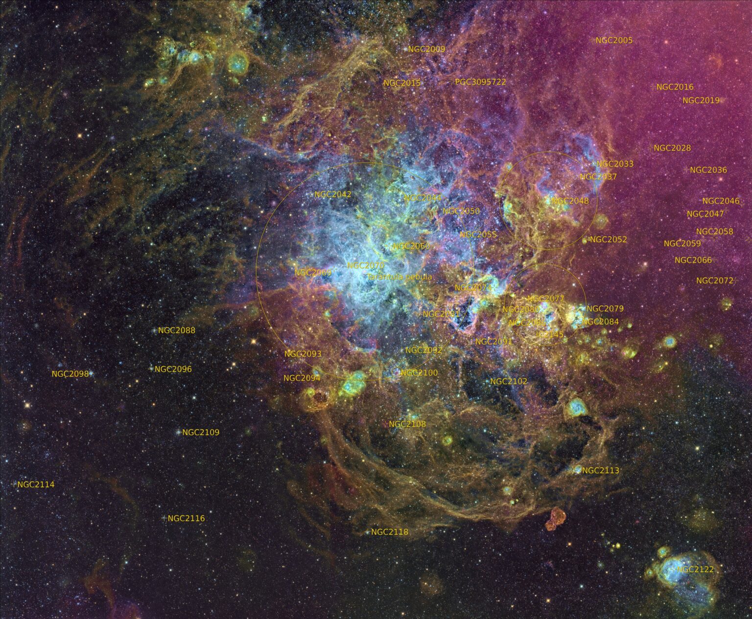Tarantula Nebula Narrowand - Astrodoc: Astrophotography by Ron Brecher