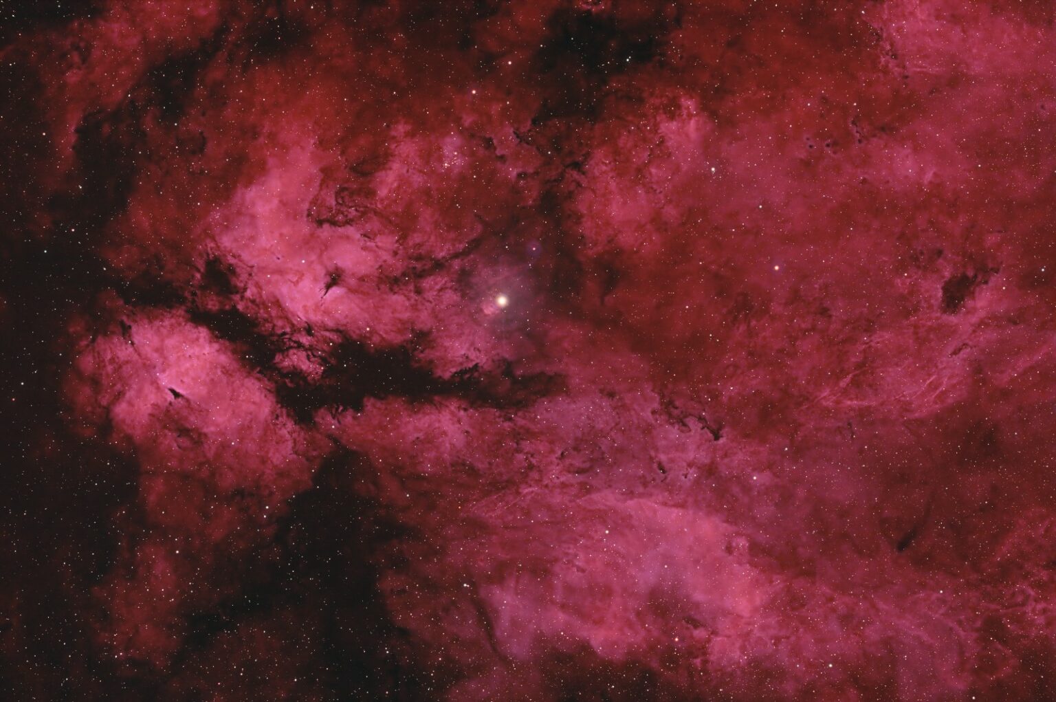 IC 1318 (2022) - Astrodoc: Astrophotography by Ron Brecher