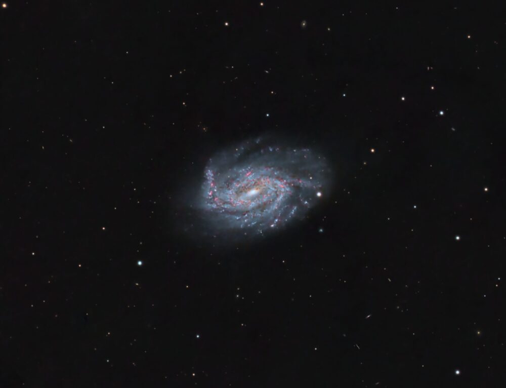 NGC 4236 - Barred Spiral Galaxy - Astrodoc: Astrophotography by Ron Brecher