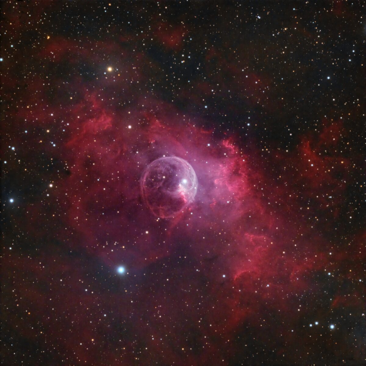 NGC 7635 in Three Palettes - Astrodoc: Astrophotography by Ron Brecher