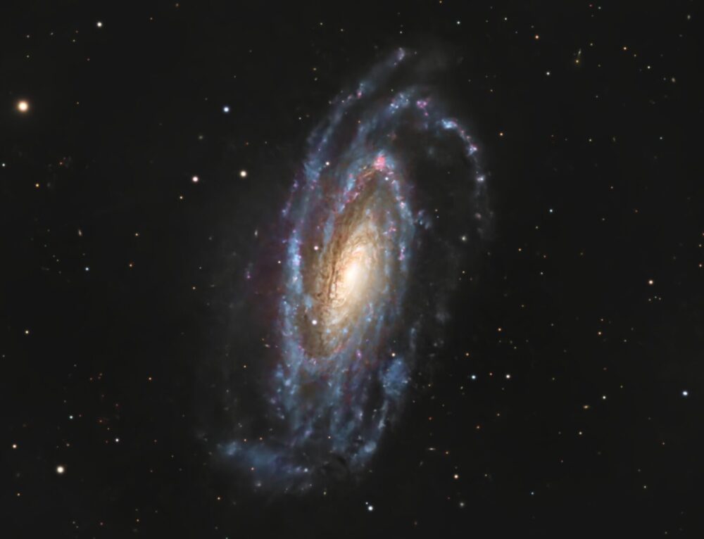 NGC 7023 - The Iris Nebula - Astrodoc: Astrophotography by Ron Brecher